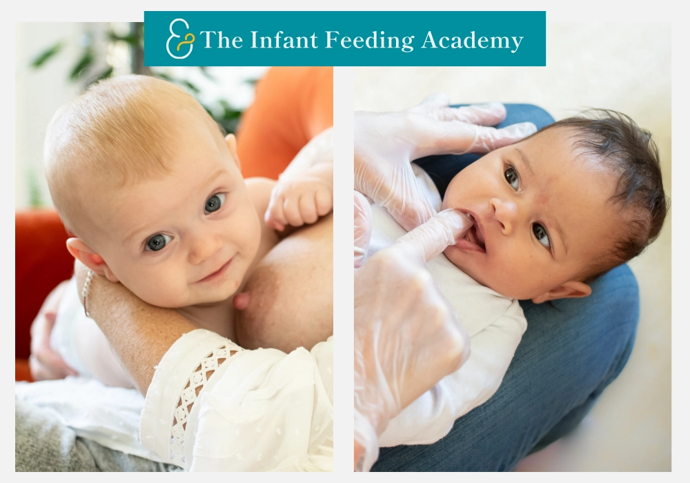 The Infant Feeding Academy in-person immersive event (April 2024) - The ...